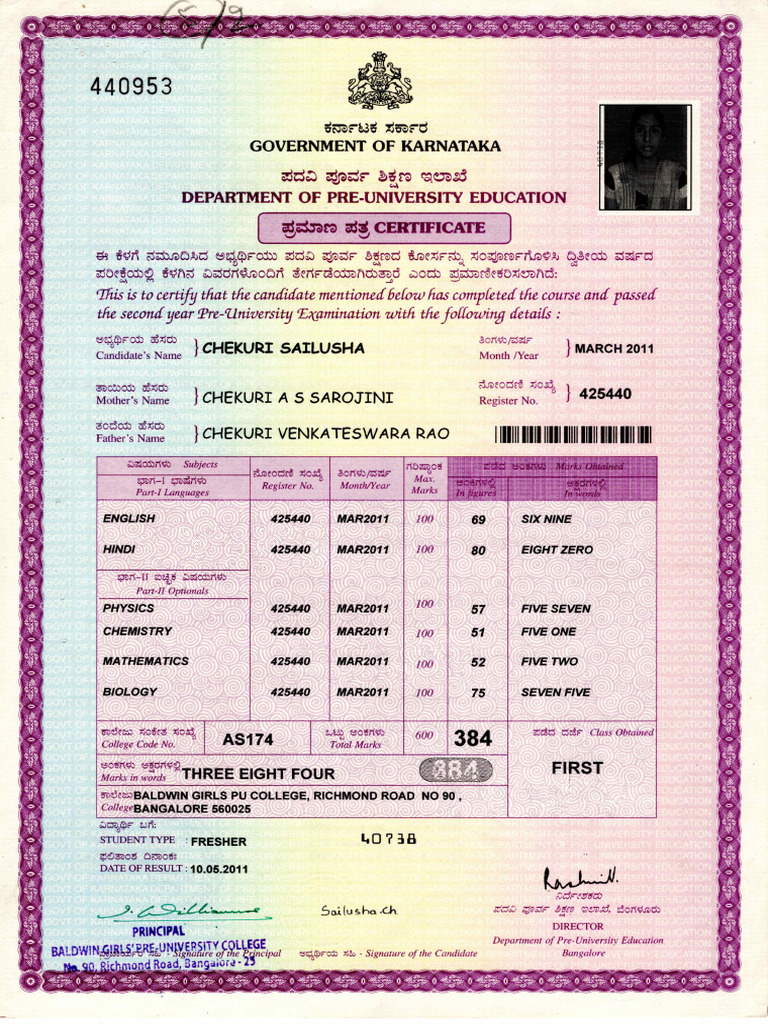 PUC Certificate II Year | PDF
