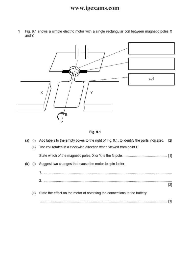 Electromagnetic Effects WORKSHEET | PDF | Magnetic Field | Rotation