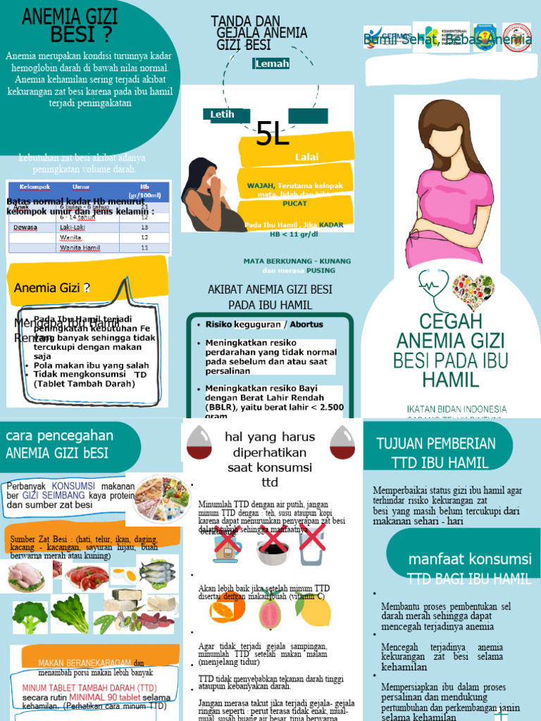 Leaflet Anemia Bumil | PDF