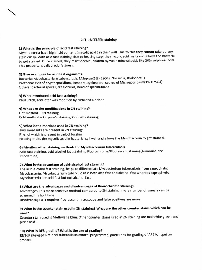 ZN stain | Download Free PDF | Mycobacterium | Staining