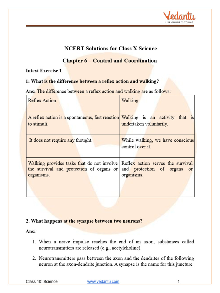 NCERT Solutions For Science Control and Coordination Class 10 FREE PDF ...