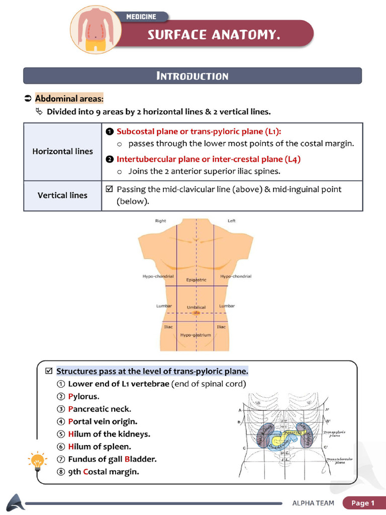 Surface Anatomy | PDF