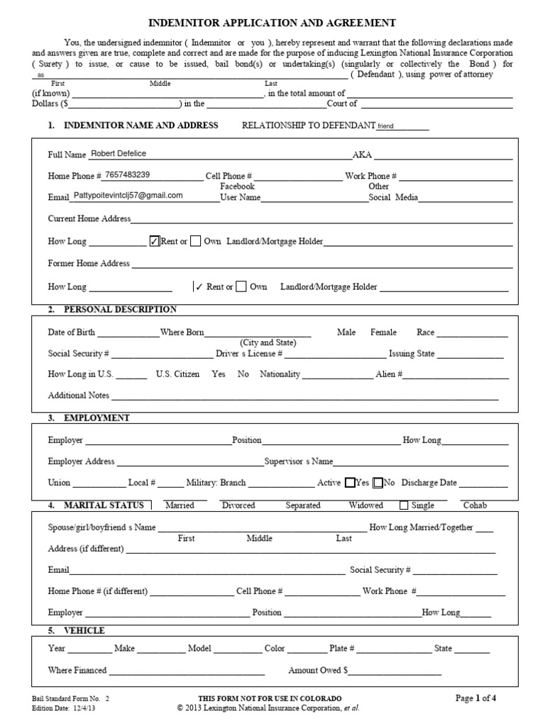 Bail Application | PDF | Surety | Fraud