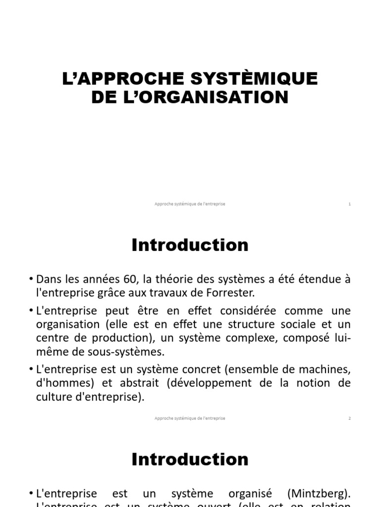 Approche systémique de l'entreprise | PDF | Business | Prise de décision