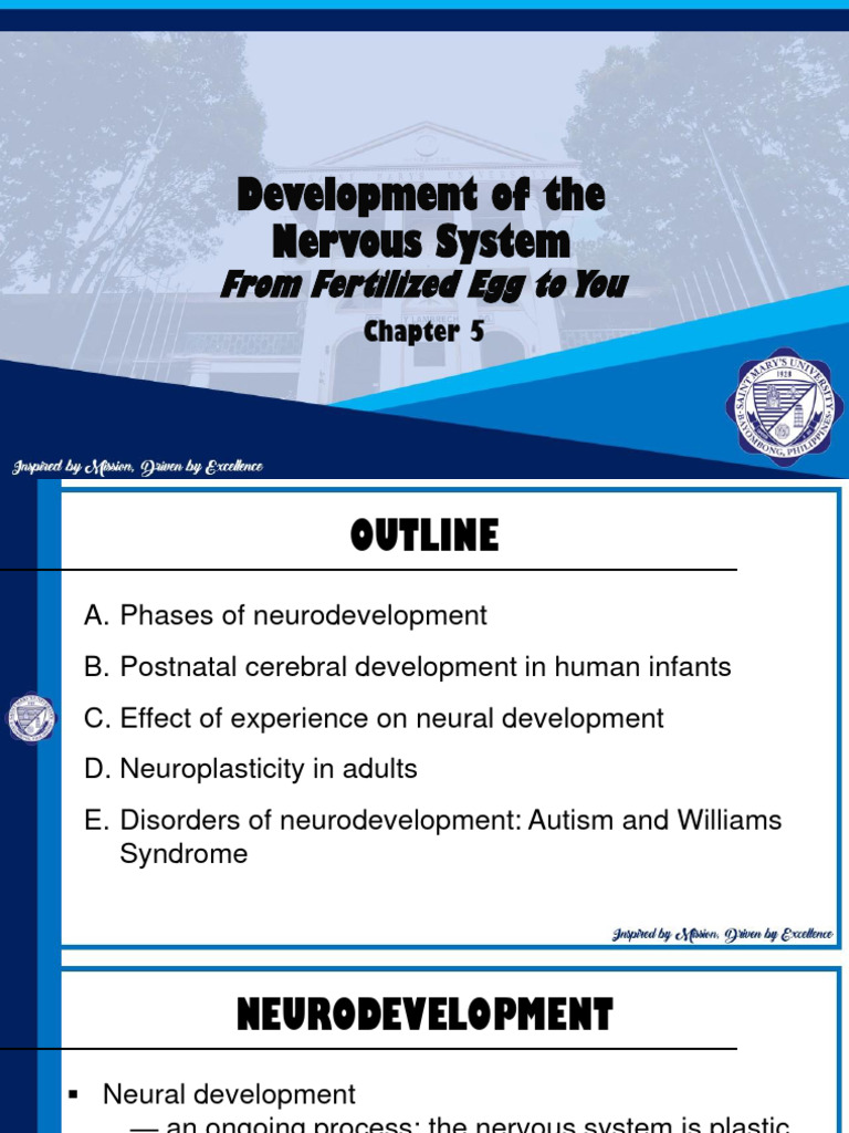 Chapter 5. Development of Nervous System | PDF | Autism Spectrum | Nervous System