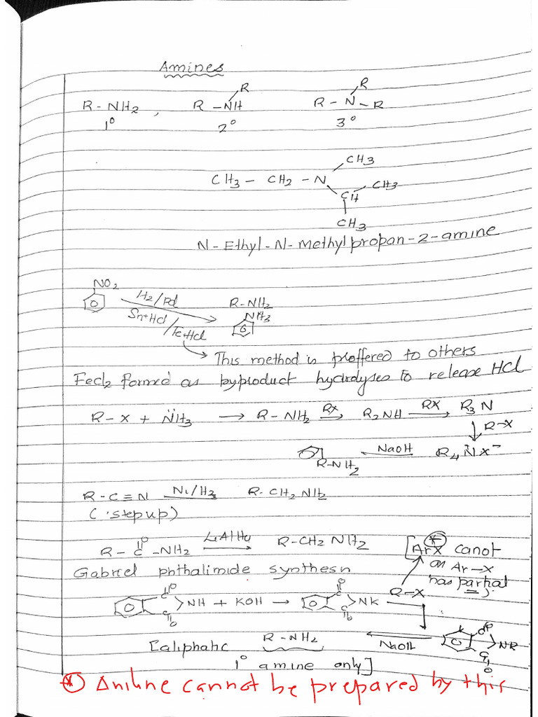 Amines Revision Notes | PDF