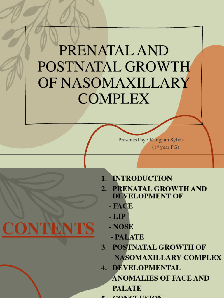 Prenatal and Postnatal Growth of Nasomaxillary Complex | PDF | Human ...