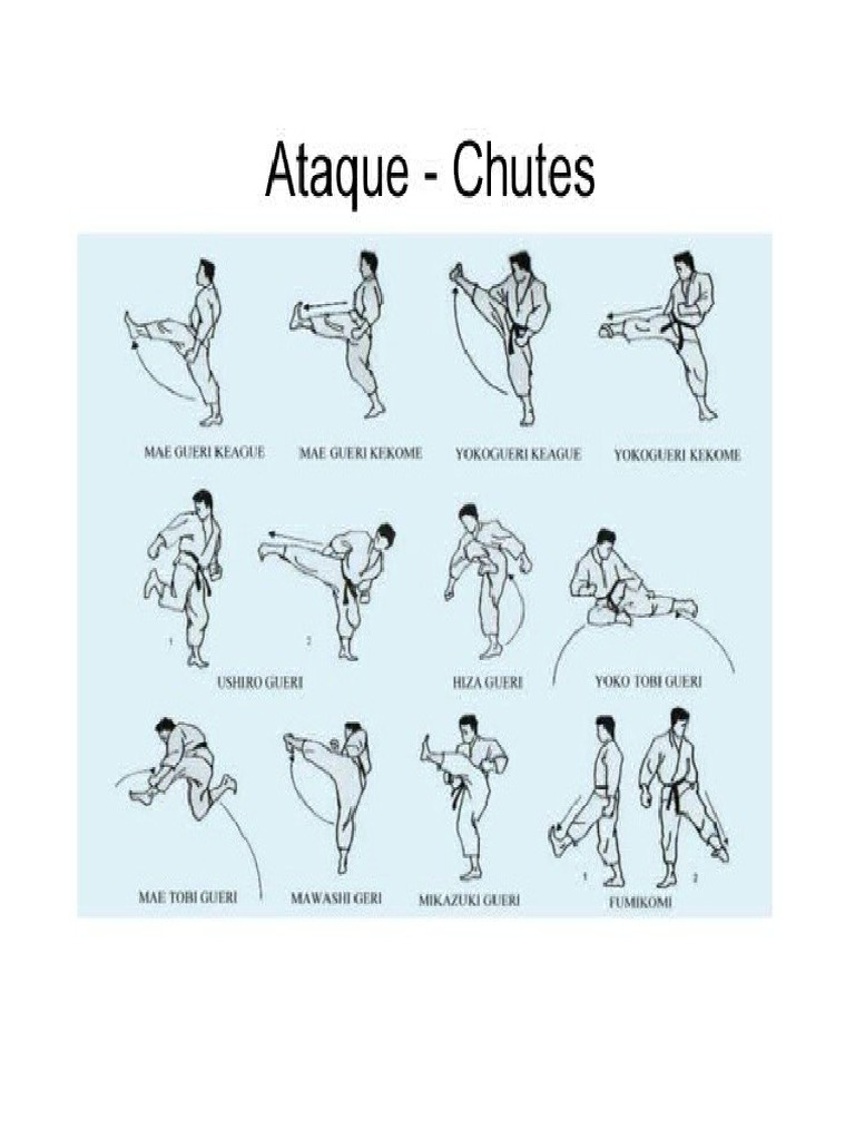 CHUTE E ATAQUES Karate Shotokan | PDF