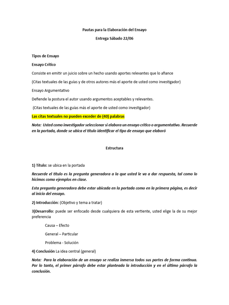 Pautas para La Elaboración Del Ensayo | PDF