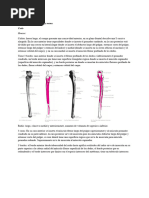 Anatomía del Cúbito y sus Partes | PDF | Codo | Anatomía humana