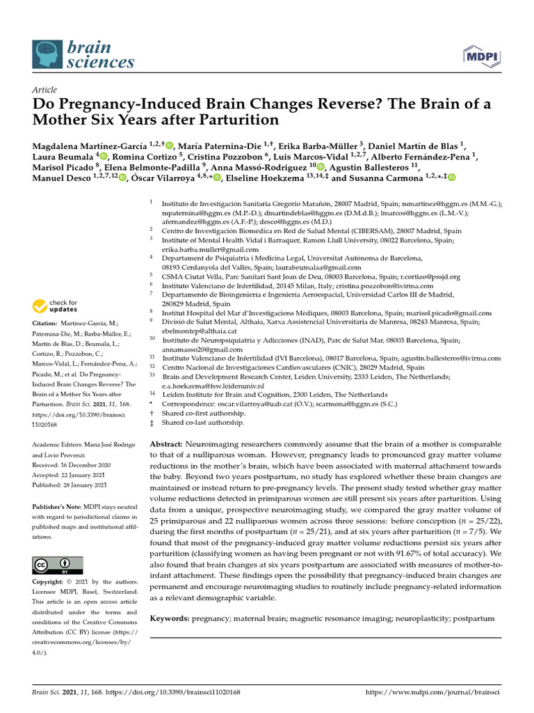 Do Pregnancy-Induced Brain Changes Reverse? The Brain of A Mother Six ...