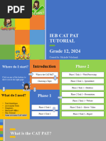 Grade 10 PAT 2025 Guidelines | PDF | Citation | Microsoft Excel