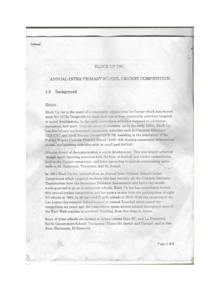 Block Up Constitution | PDF
