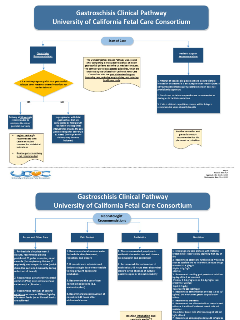 Gastroschisis Care Guidelines | PDF | Childbirth | Fetus