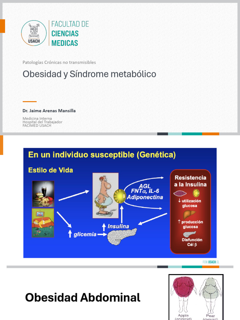 Resistencia a la Insulina y Sd. Metabólico | PDF | Resistencia a la ...