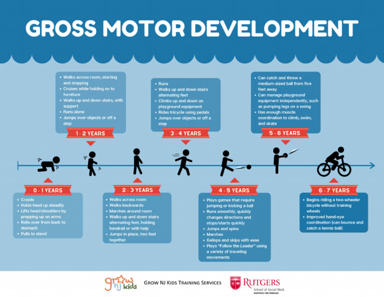 Gross Motor Development | PDF