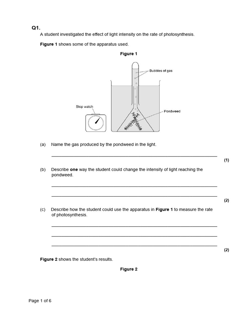pondweed practice questions | PDF | Photosynthesis | Starch