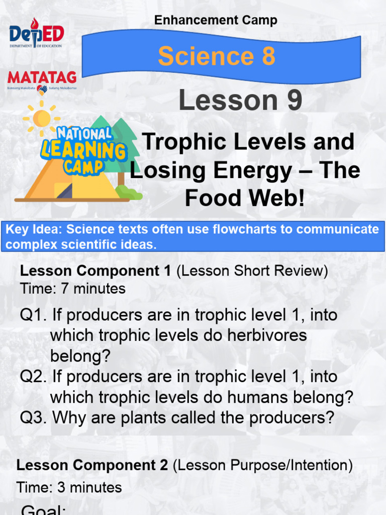 Science 9 Lesson 10 | PDF