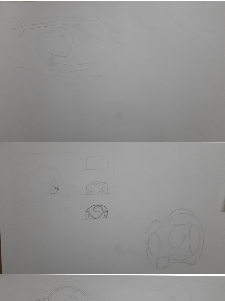 2115 Ad Progressive | PDF