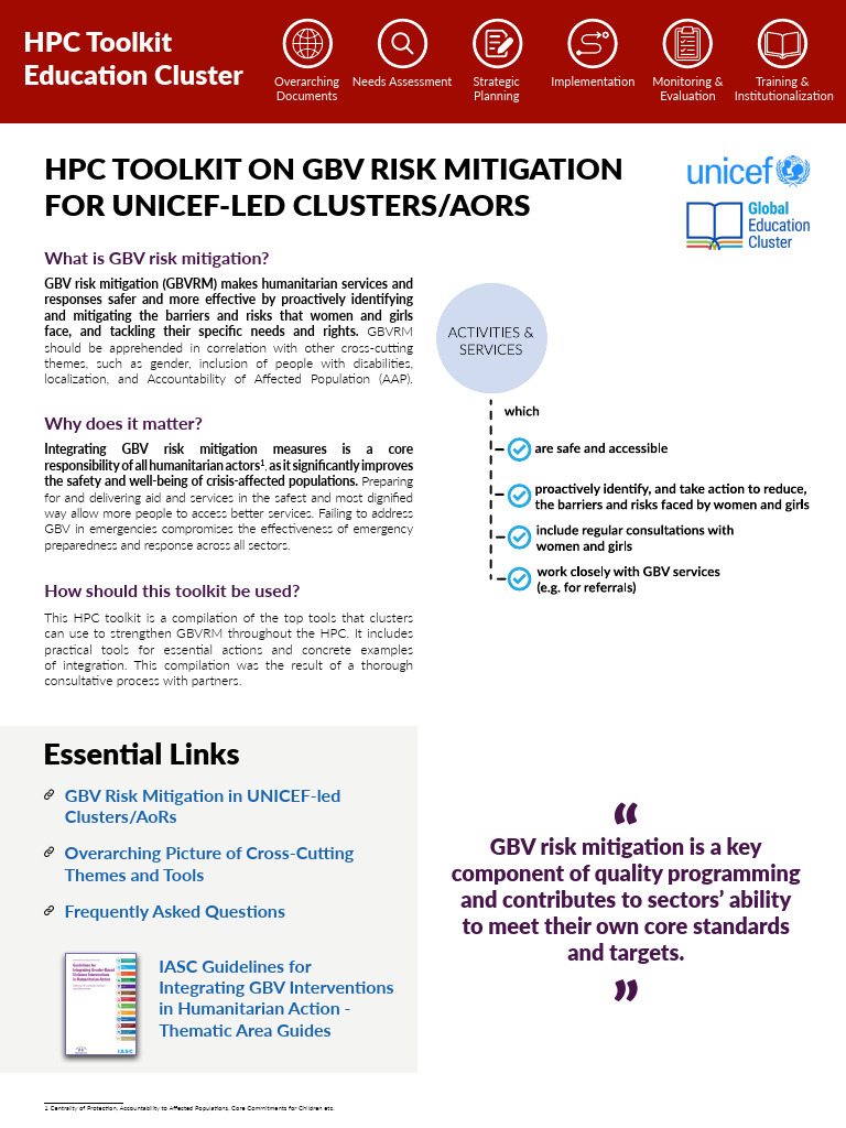 TOOLKIT UNICEF GBVRM Education | PDF | Needs Assessment | Risk
