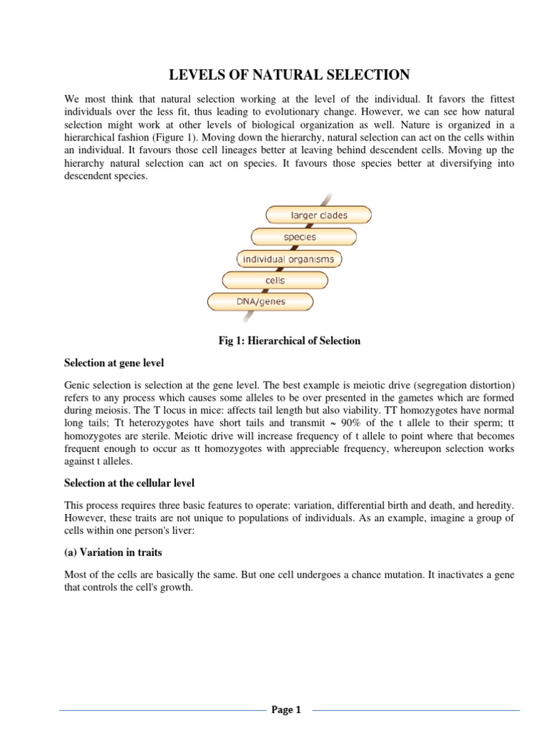 Modern Concept of Natural Selection | PDF | Natural Selection | Evolution