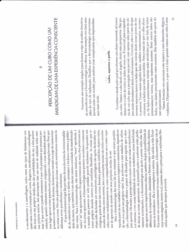 Sokolowski - Cap2 | PDF