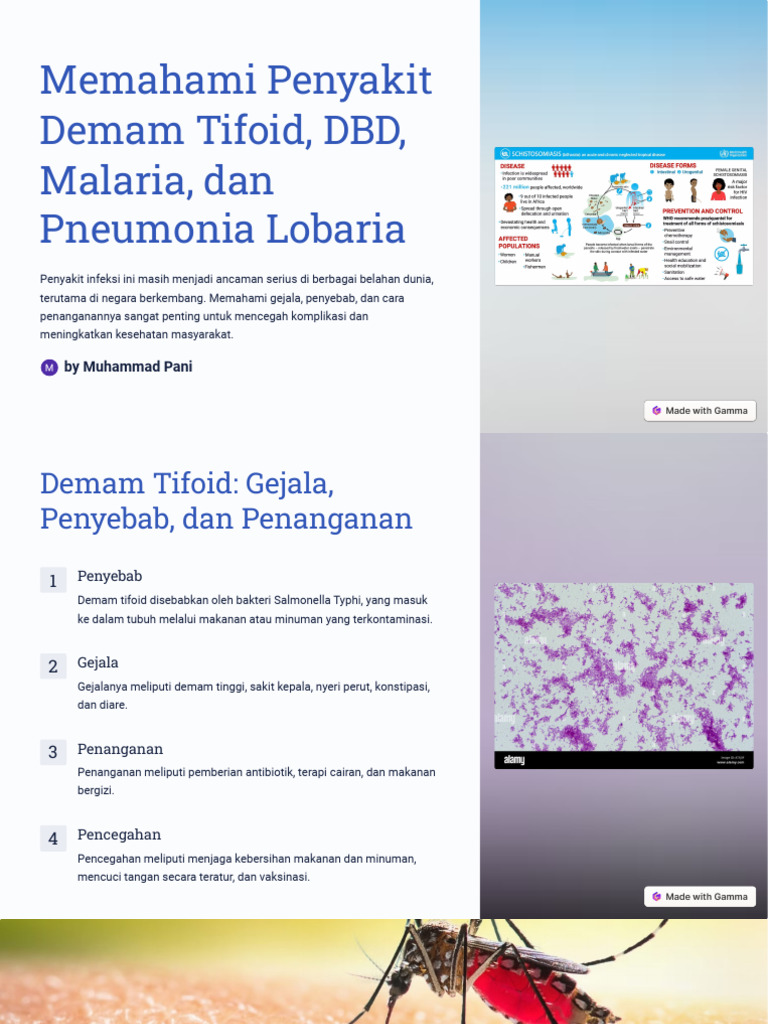Muhammad Pani Memahami Penyakit Demam Tifoid DBD Malaria Dan Pneumonia ...