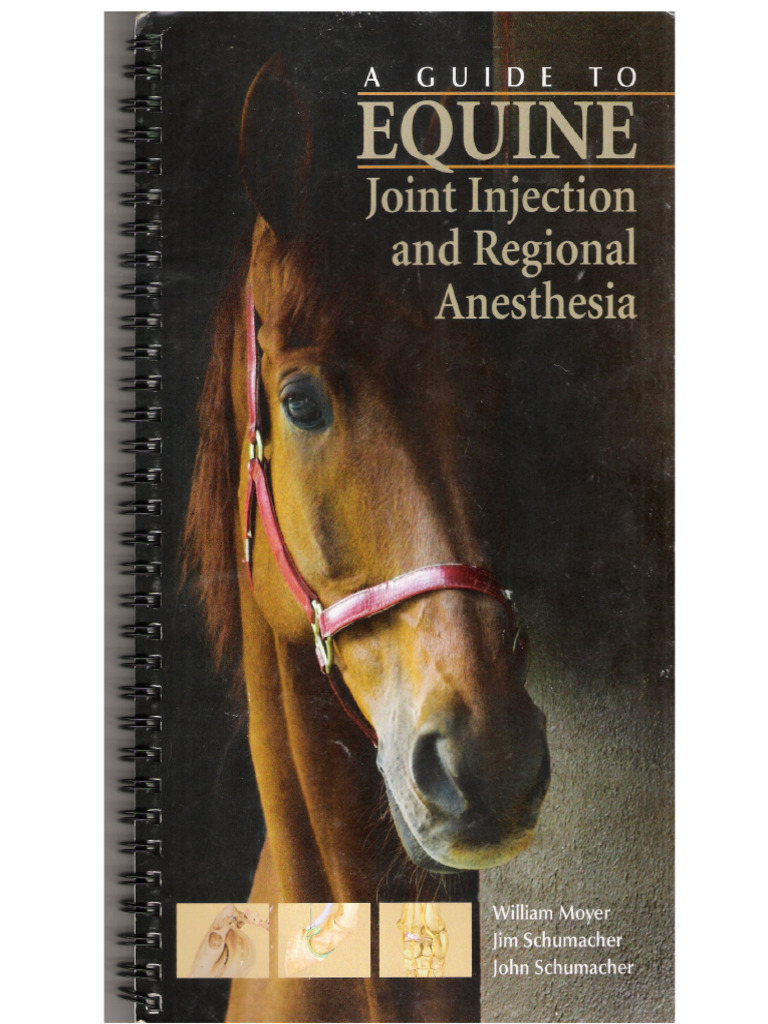A Guide To Equine Joint Injection and Regional Anesthesia | PDF