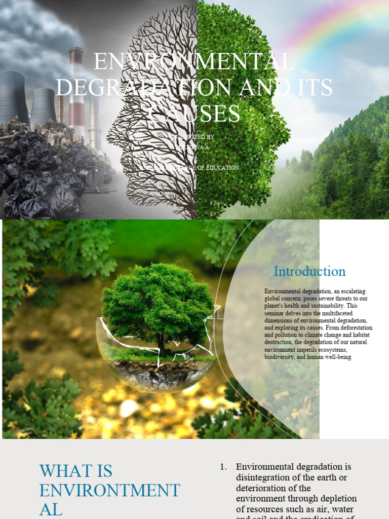 Causes of Environmental Degradation | PDF | Environmental Degradation ...