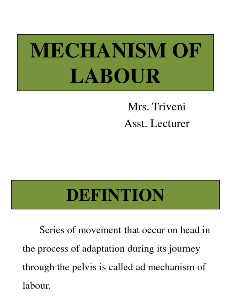 Mechanism of Labour | PDF | Pelvis | Anatomical Terms Of Motion