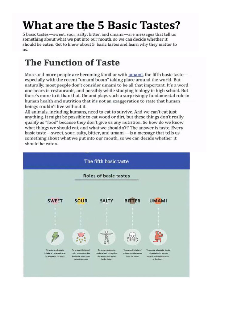 Taste and Nutrition Terms, Nuts | PDF