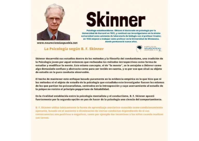 SKINNER | PDF