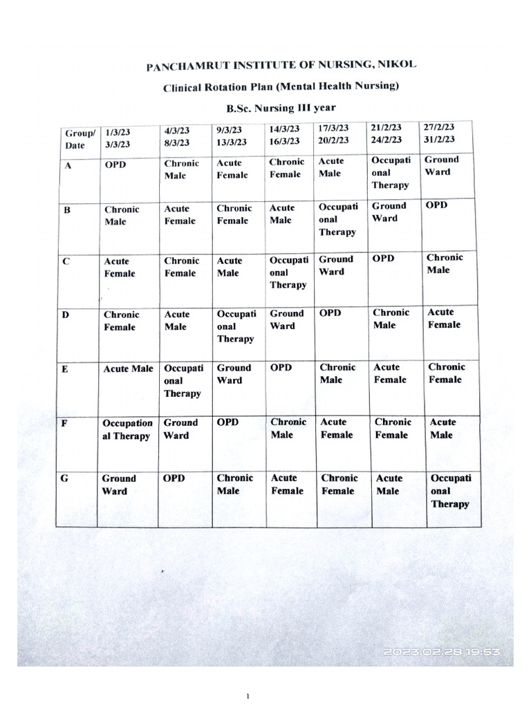 Clinical Rotation Plan (MHN) | PDF