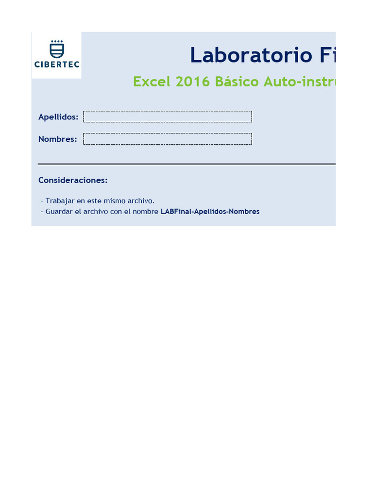 Básico Autoinstructivo LAB FIN DEL CURSO | PDF | Microsoft Excel