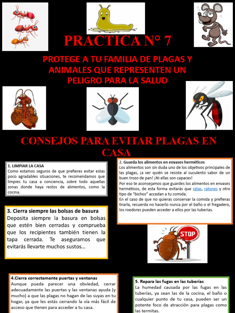 Consejos para Evitar Plagas en Casa | PDF | Alimentos | Plaga (organismo)