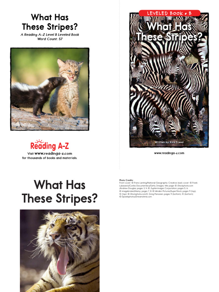 What Has These Stripes | PDF