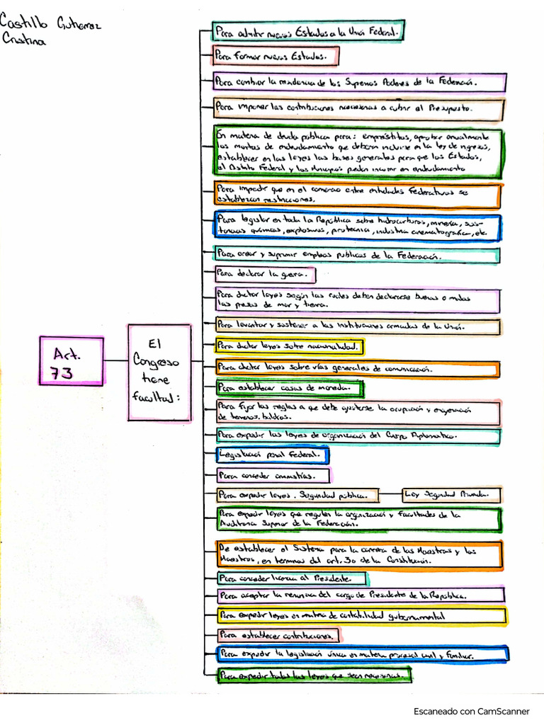 Art 73, Mapa Conceptual | PDF