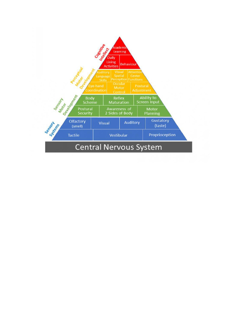 pyramid of learning | PDF