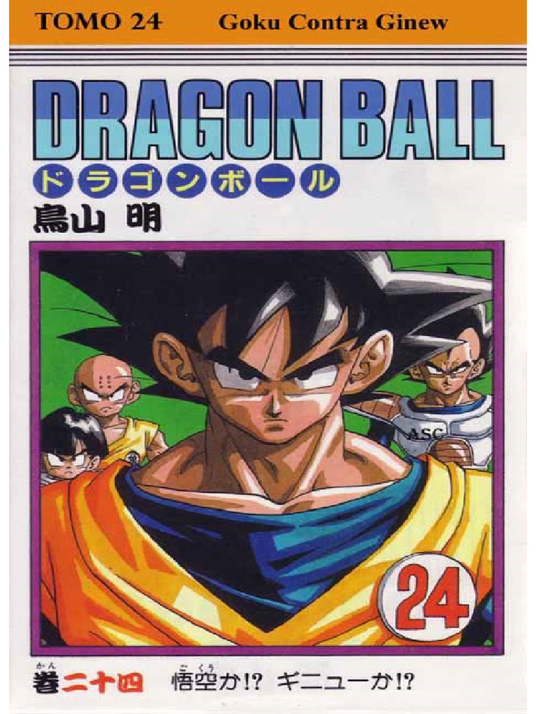 DB Vol 24 | PDF