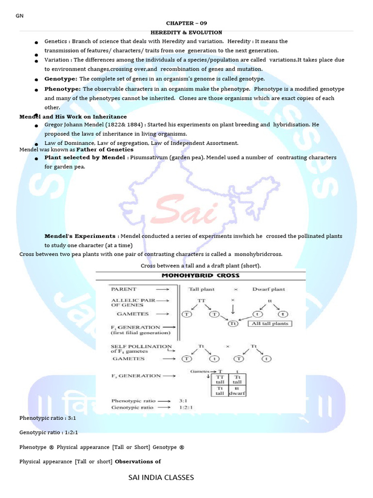 Heridity and Evolution Notes | PDF | Dominance (Genetics) | Evolution