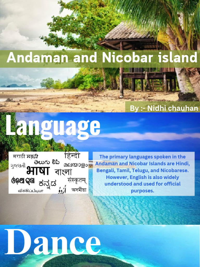 Nidhi Chauhan - 20240609 - 134242 - 0000 | PDF
