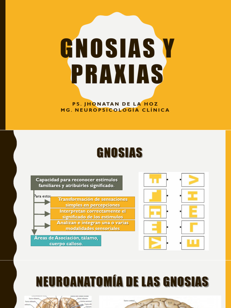 Gnosias y Praxias | PDF | Procesos mentales | Evaluación neuropsicológica