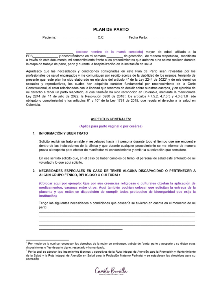 Plan de Parto | PDF | Parto | Seccion de cesárea