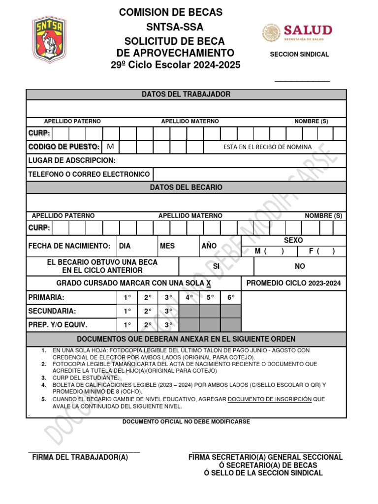 5 Solicitud BAE | PDF | Gobierno y personalidad