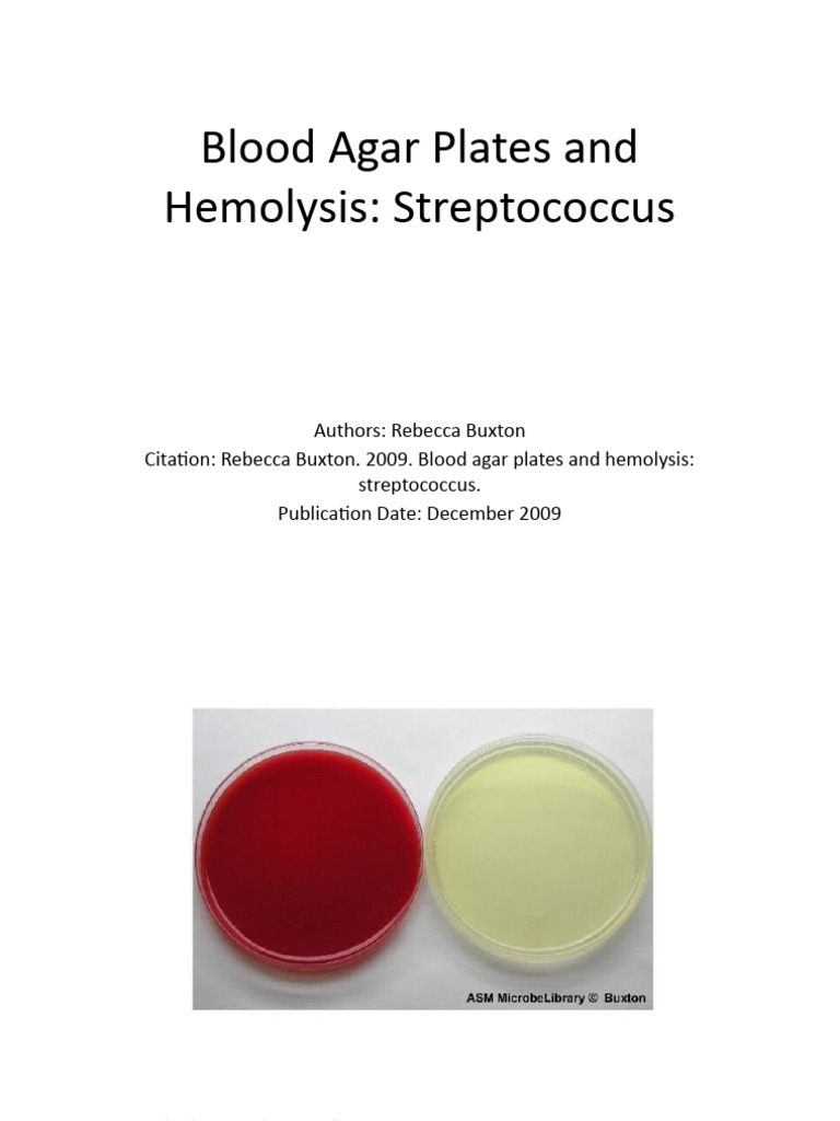 BLOOD-AGAR-PLATES-AND-HEMOLYSIS-STREPTOCOCCUS | PDF | Streptococcus ...
