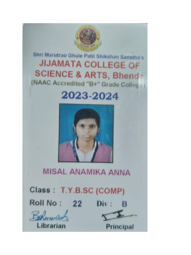 Ty Id Card | PDF