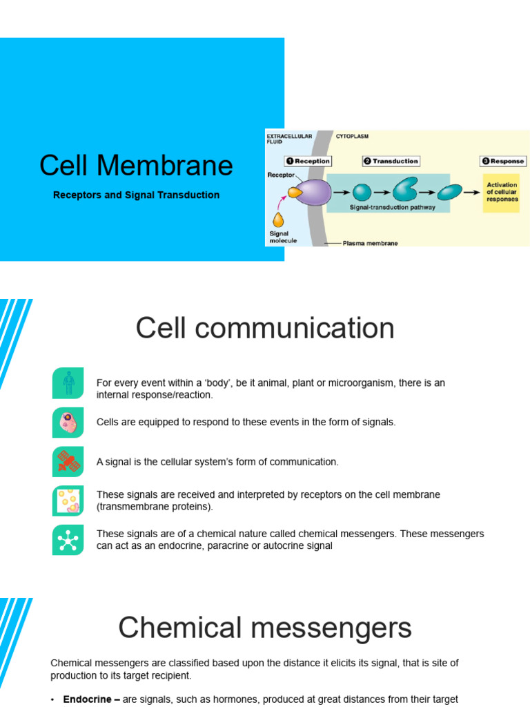 Cell Membrane Receptors & Signaling | PDF | Cell Signaling | Ligand ...