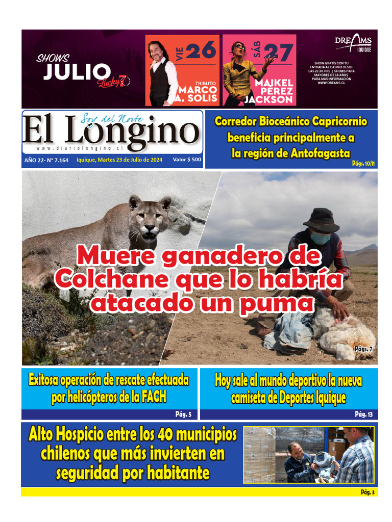 El Longino de Iquique 230724 | PDF | Puma | Chile