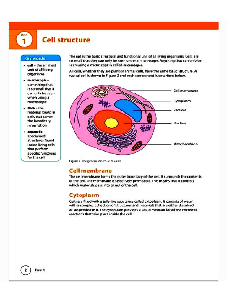 Cell Structure | PDF