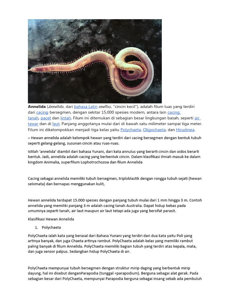 Annelida 2 | PDF | Sains & Matematika